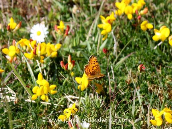 A Walk Over Dartmoor – part 1 | Life in the English Cotswolds